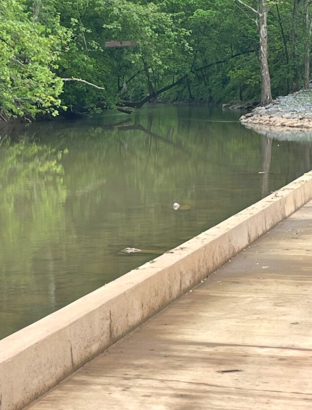 Jug Loop Open for Fun | News, Sports, Jobs - Tyler Star News